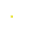 Company – PIBRA
