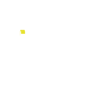 Company – PIBRA