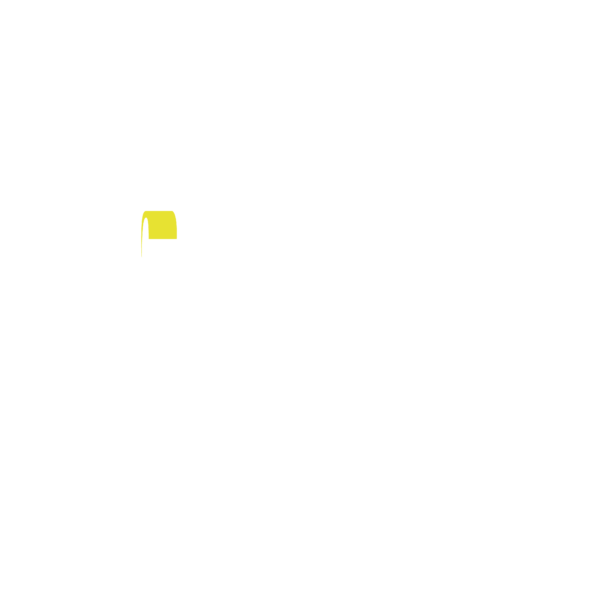 Company – PIBRA